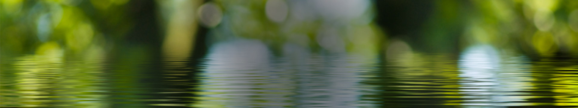 The Method of Modern Orgonomy